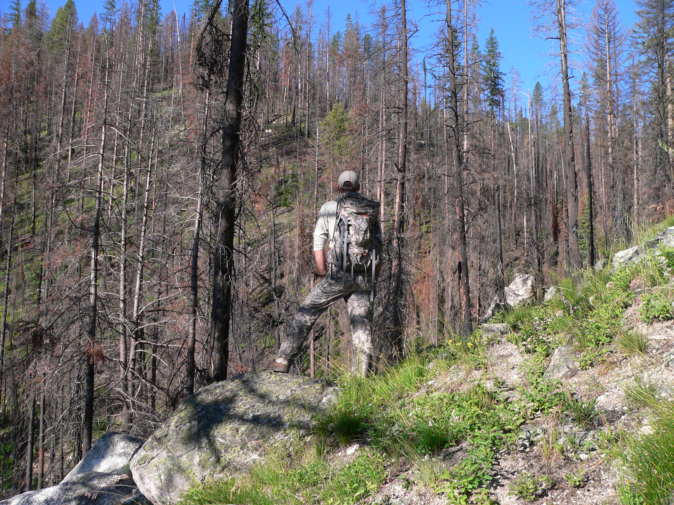 Corey’s Top 5 Elk Hunting Tips | Elk101.com | Eat. Sleep. HUNT ELK! Corey’s Top 5 Elk Hunting Tips | Elk101.com | Eat. Sleep. HUNT ELK!