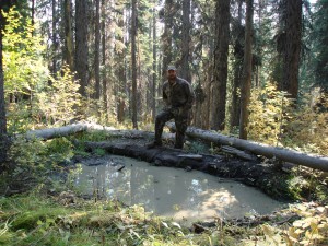 Hunting the Rut | Elk101.com | Eat. Sleep. HUNT ELK!