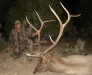 Field Judging Elk | Elk101.com | Eat. Sleep. HUNT ELK!
