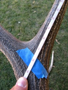 How To Score Your Elk | Elk101.com | Eat. Sleep. HUNT ELK!