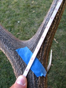 How To Score Your Elk | Elk101.com | Eat. Sleep. HUNT ELK!