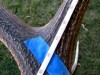 How To Score Your Elk | Elk101.com | Eat. Sleep. HUNT ELK!