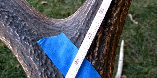 How To Score Your Elk | Elk101.com | Eat. Sleep. HUNT ELK!