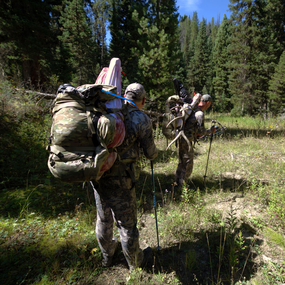Does Being In “ElkShape” Make You a Better Hunter? | Elk101.com | Eat ...