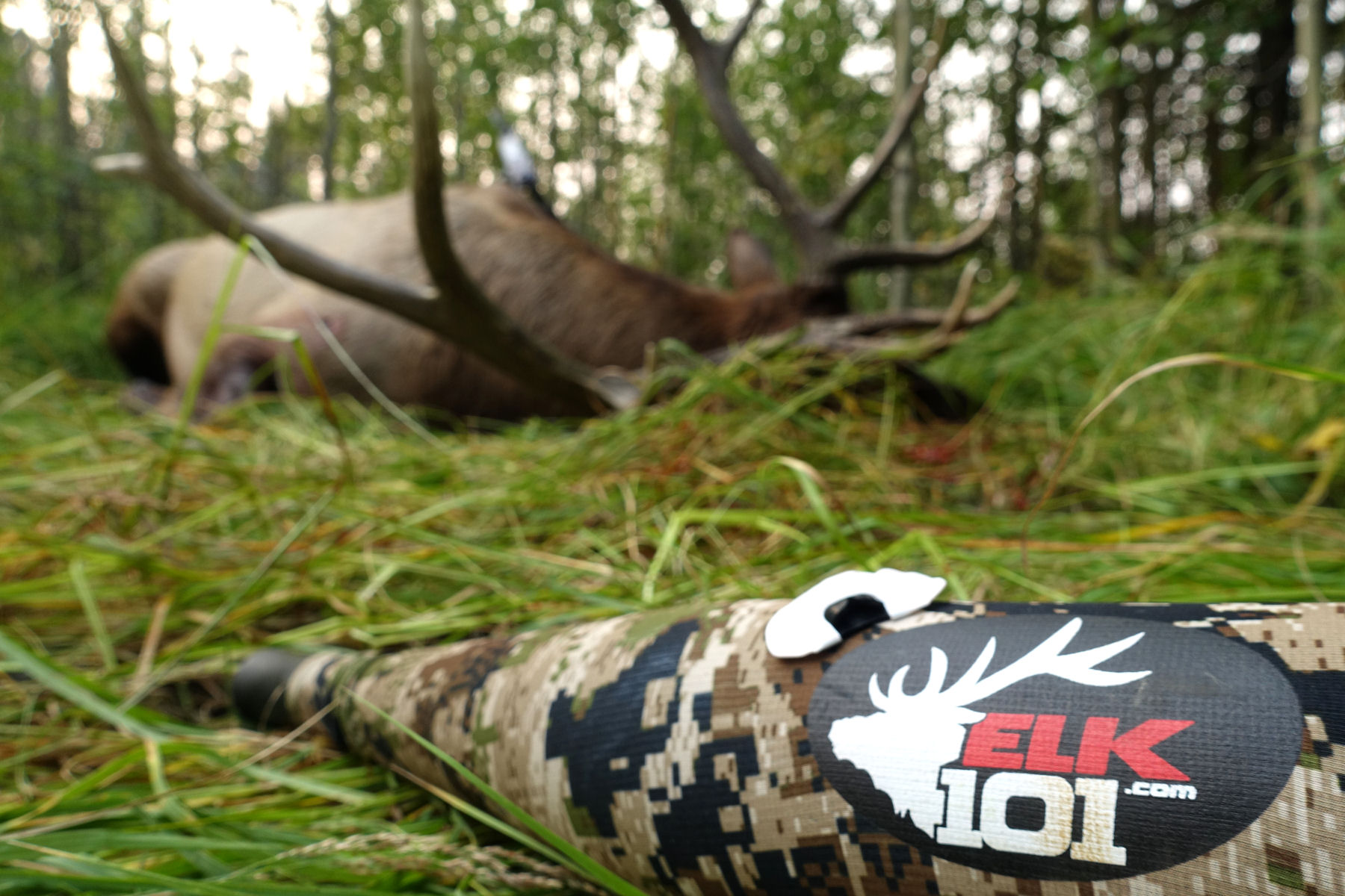 Official Launch of the New ‘CONTENDER’ Diaphragm Elk Call | Elk101.com ...