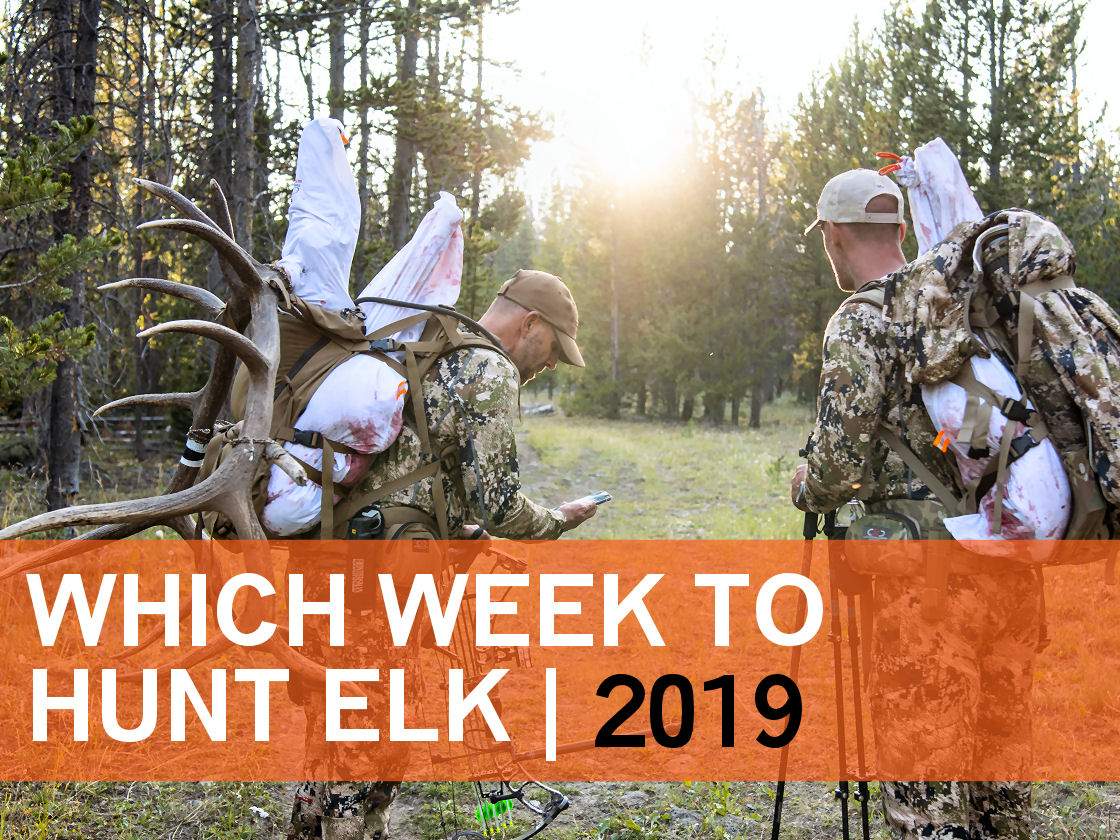 Elk101.com | Dedicated to Elk Hunting Information