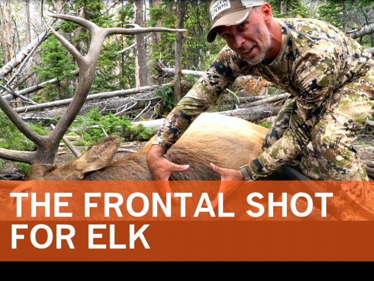 Elk101.com | Dedicated to Elk Hunting Information