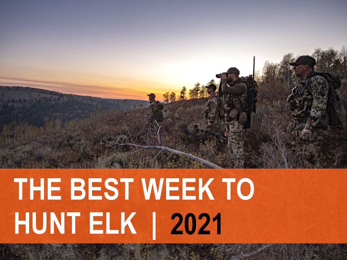 Elk101.com | Dedicated to Elk Hunting Information