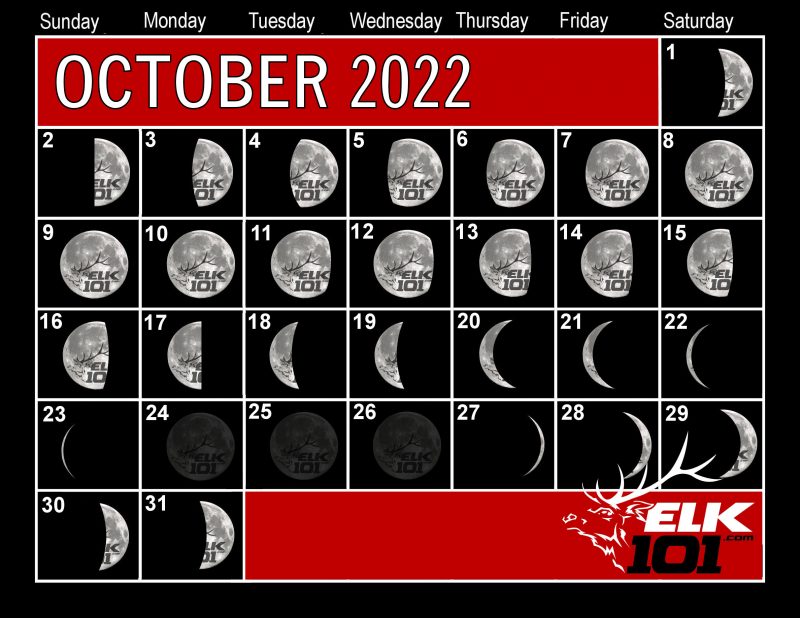 The Best Week for Hunting Elk in 2022 | Elk101.com | Eat. Sleep. HUNT ELK!